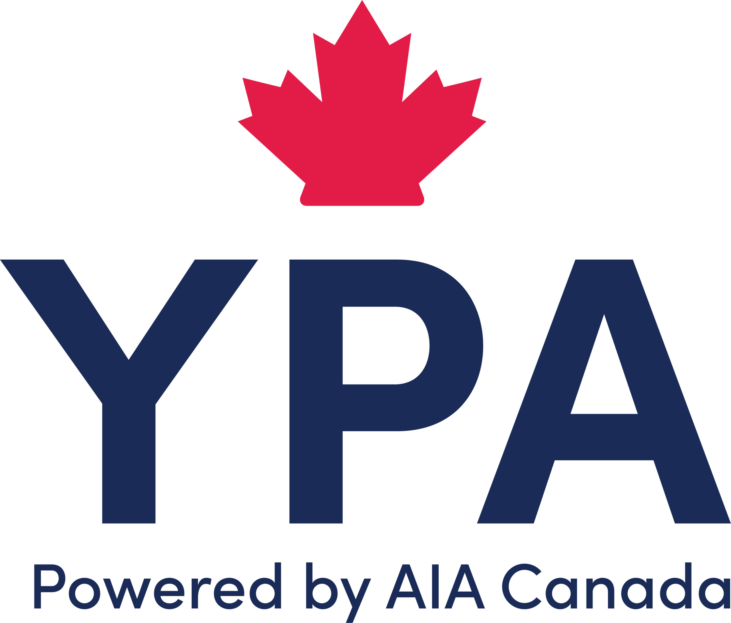 YPA Community workshop: Empowered leadership—Crafting resilience ...